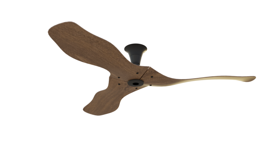 Timber Fan – Mr Black